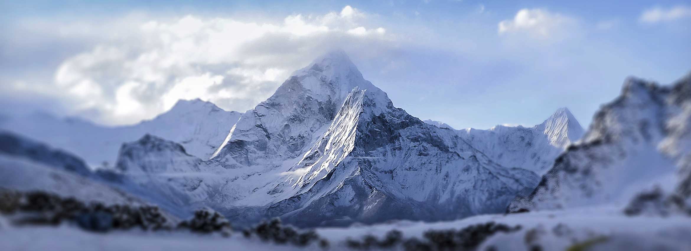 Home - Optimum Computer Systems Ltd